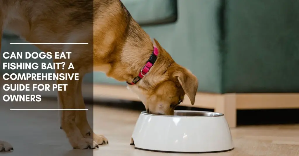 Can Dogs Eat Fishing Bait? A Comprehensive Guide for Pet Owners – The ...